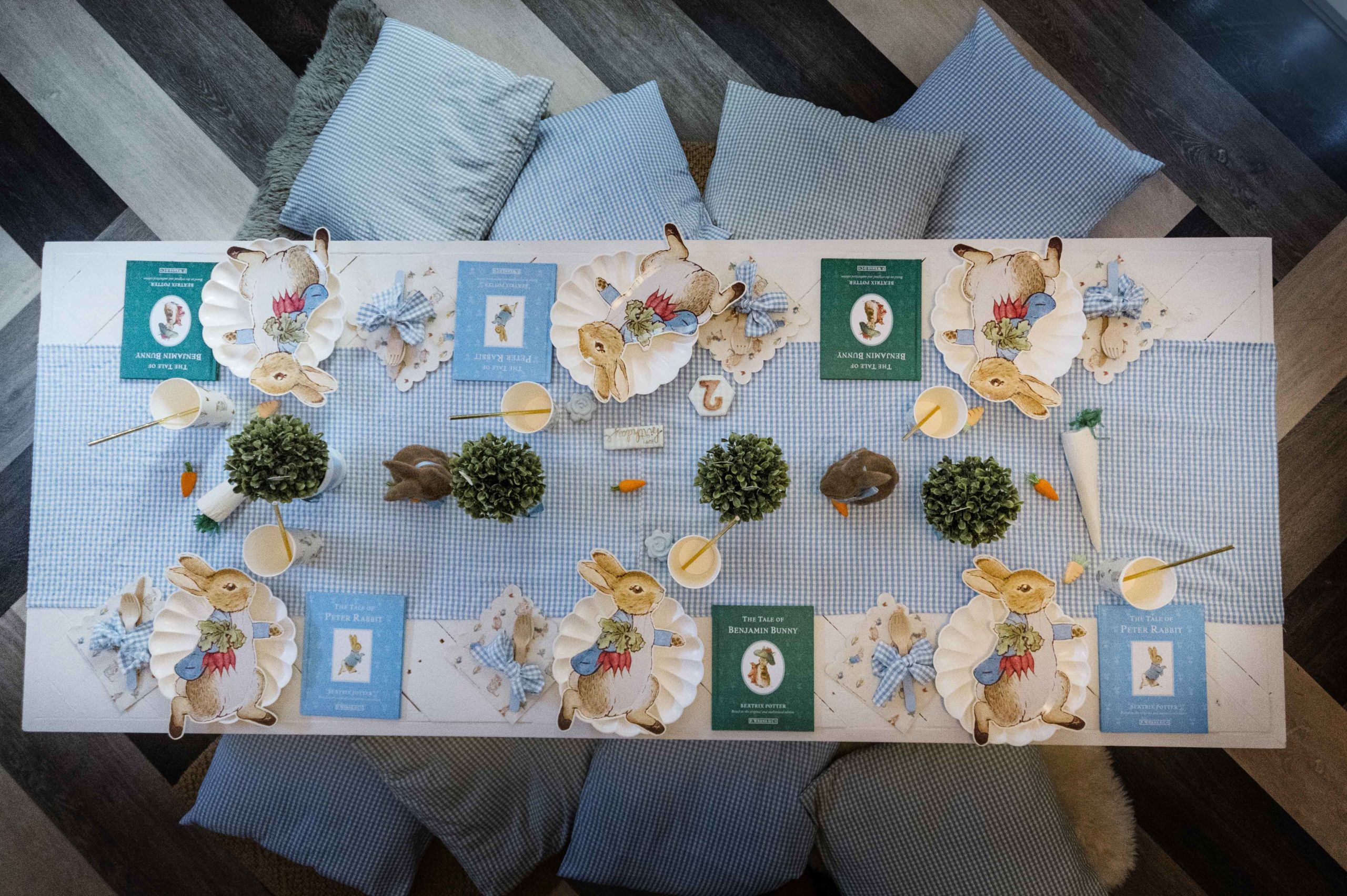 Peter Rabbit Themed Party | Shrewsbury Photographer